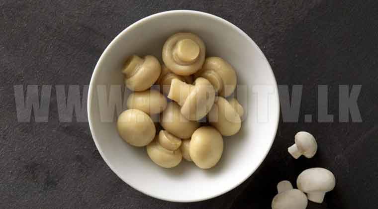 බිම්මල් හෙවත් හතු මේ තරම් ගුණ බව ඔබ දන්නවාද ?|Hiru TV Blog