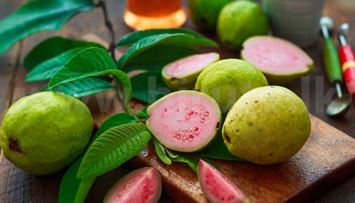 පළතුරක් විතරක් නොවන පේර, ලෙඩ තියෙනවා නම් මෙන්න විසඳුම....|Hiru TV Blog